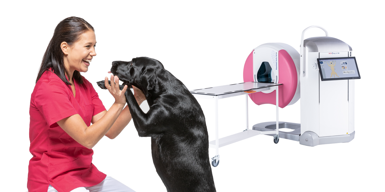 Planmed launches Planmed Verity® VET – a high-resolution CT scanner for ...